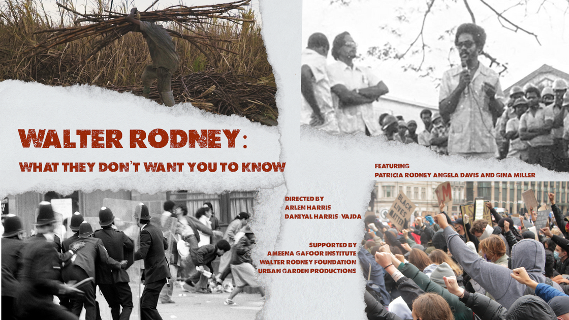 Walter Rodney: What They Don't Want You To Know – AfricanFilm.com